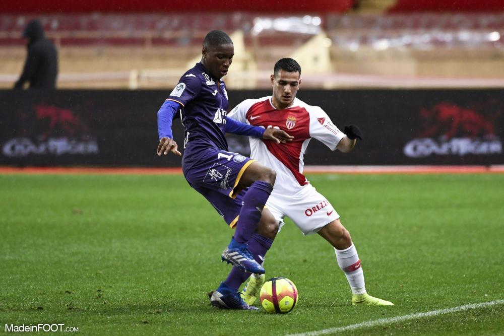 L1 - ASM - TFC : L'album photo